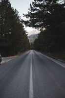 Panini Prizm Color Guide: Ultimate Breakdown & Tips | Texcel USA